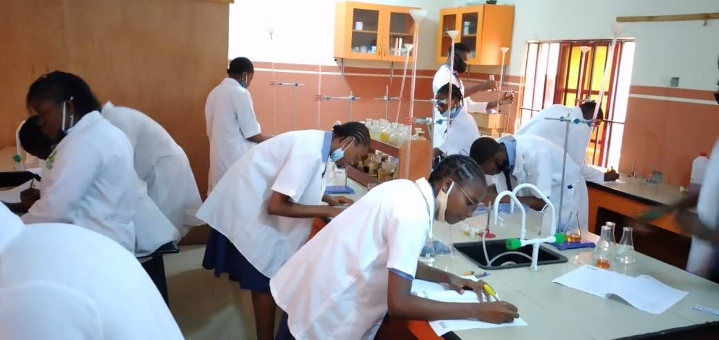 Home [seedofknowledgeschools.com]