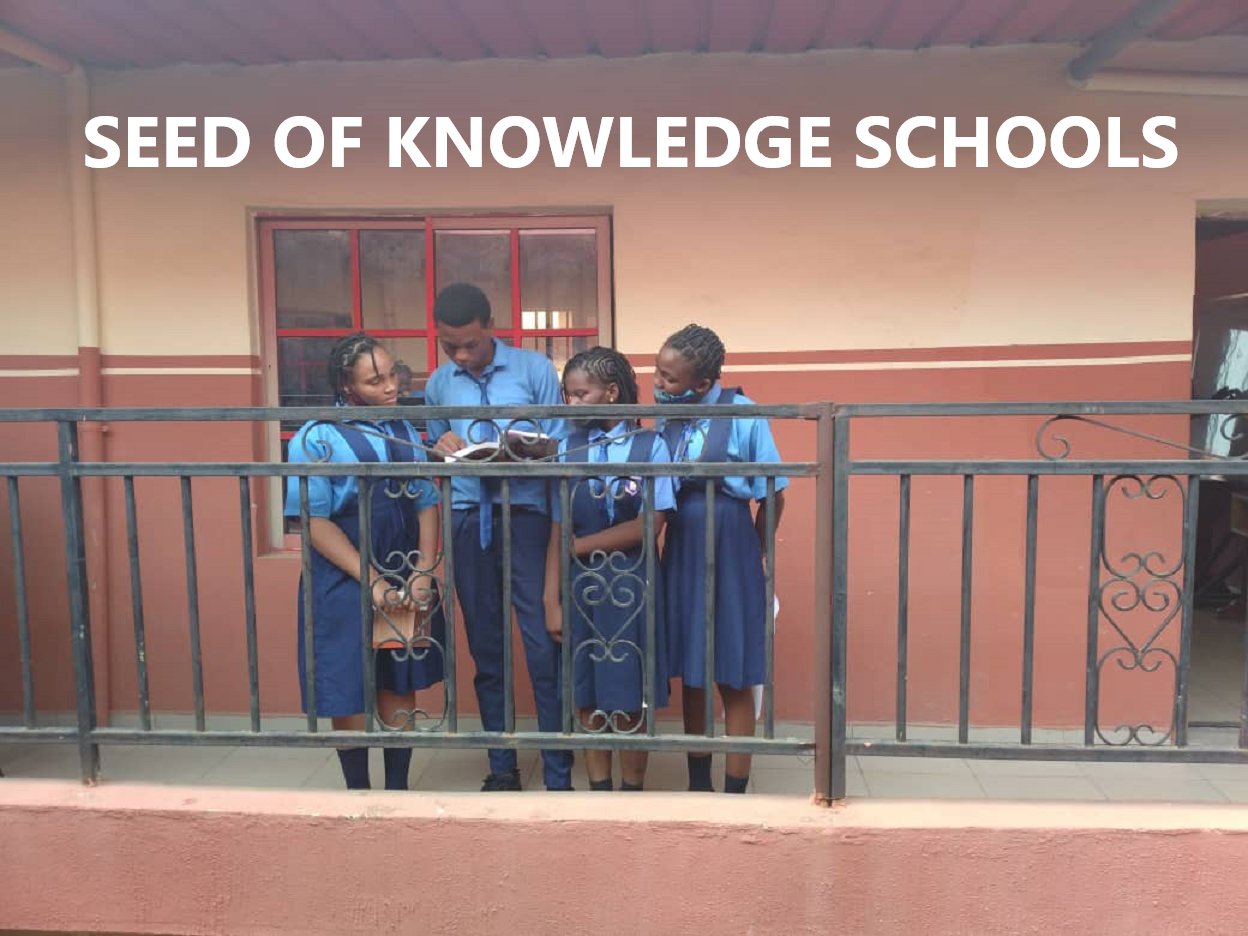 Home [seedofknowledgeschools.com]